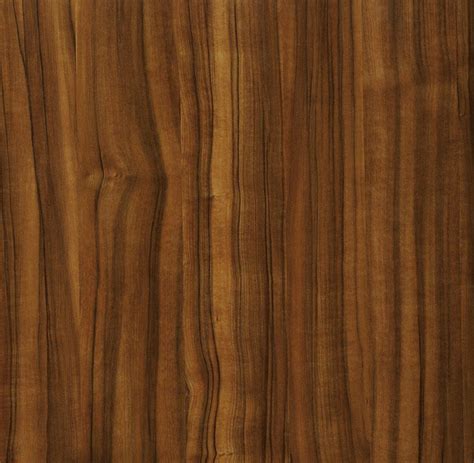Tree Texture Map