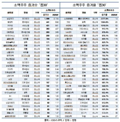 동학개미운동 소액주주 80 증가삼성전자만 158만명↑