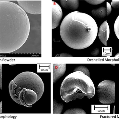 A Virgin Powder Particle By Product Powder Morphologies B Deshelled