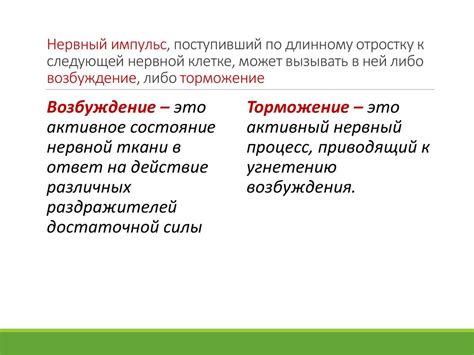 Строение нервной системы и её свойства презентация онлайн