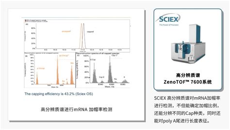 丹纳赫生命科学 Mrna 药物的表征和质控