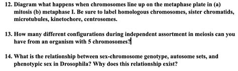 Solved 12 Diagram What Happens When Chromosomes Line Up On The