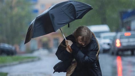 Cod Galben De Vânt Puternic în Județul Iași Avertizarea A Fost Emisă De Anm • Buna Ziua Iasi