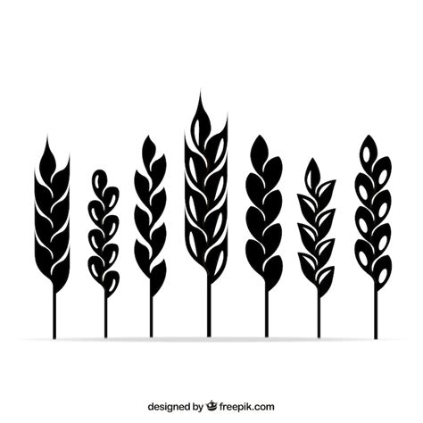 Iconos De Espigas De Trigo Vector Premium