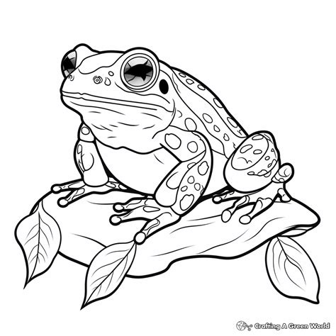 Tree Frog Coloring Pages Free And Printable