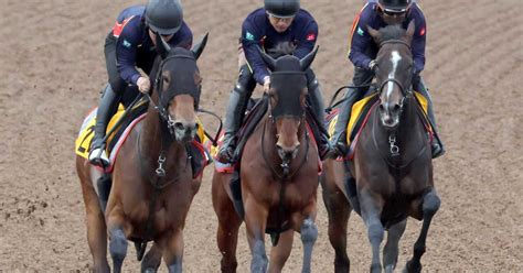 【ヴィクトリアm 俺のチェックポイント】ウンブライル合格点の馬なり併入 ブリンカー継続装着は未定 サンスポzbat