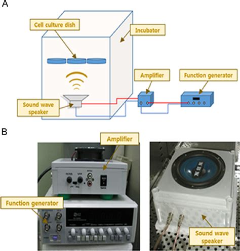 Stereo Soundstage Diagram Generator Dynamics Of The Sound Ge