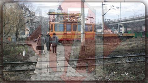Patru oferte pentru tăierea arborilor periculoși de pe traseele CFR