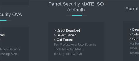 how to setup the parrot os lab for pentesting
