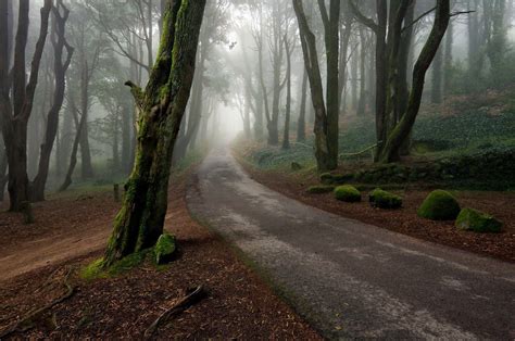 Introvert Wallpapers Wallpaper Cave