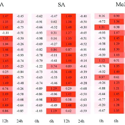 Cis Regulatory Element Analysis Of 15 Kb Upstream Promoter Regions Of