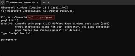 How To Set Postgresql User Password