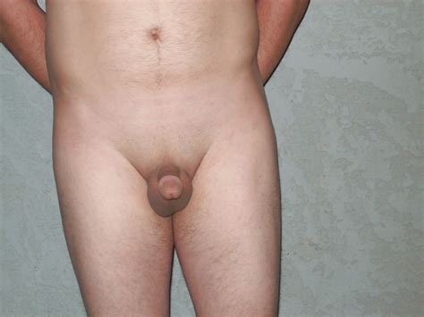 My Willy Porn Pictures Xxx Photos Sex Images 13051 Pictoa