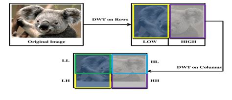 Dwt Transform Of Host Image Download Scientific Diagram