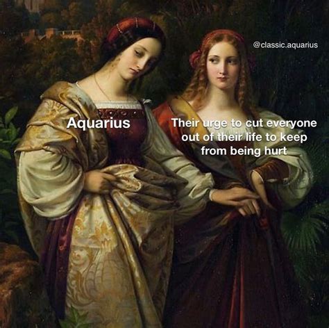 7959 Likes 75 Comments 〰️aquarius Art Memes 〰️ Classicaquarius