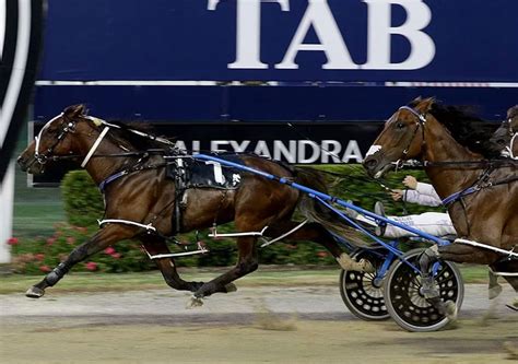 cold chisel gets revenge over arch rival in 3yo classic harnesslink