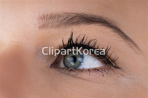해외작가포토 클립아트코리아 통로이미지주