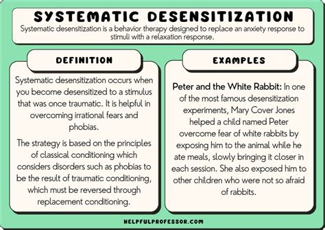 12 Systematic Desensitization Examples 2024