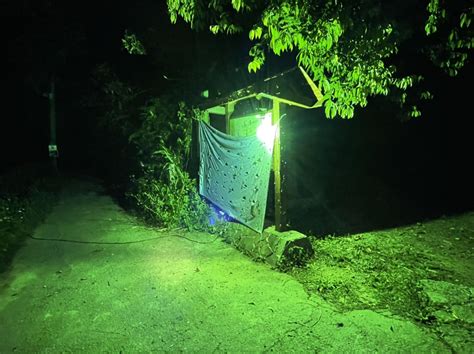 瑪那邦之星 蟲蟲生態營地 活動已經截止勿再留言喔 大家最愛的抽獎活動又來囉～～送免費營位🎉 🎉分享此文