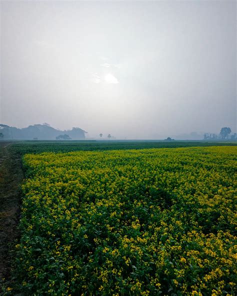 Follow If You Like This— Shyamsingharoy Iftiar Siyam Instagram