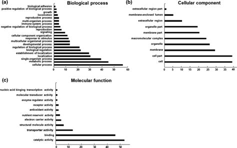 Functional Categorization Of The Differentially Expressed Proteins