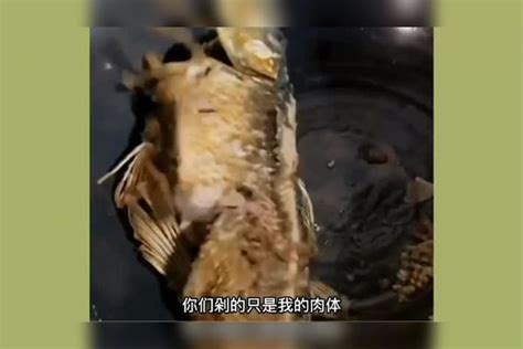 监控下的一幕，差点不敢相信