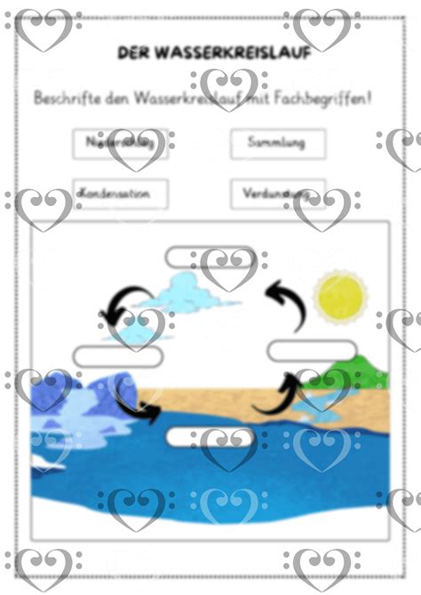 Wasserkreislauf Differenzierte Arbeitsblätter Notenjonglina 🎵 Unterricht Mit Pfiff