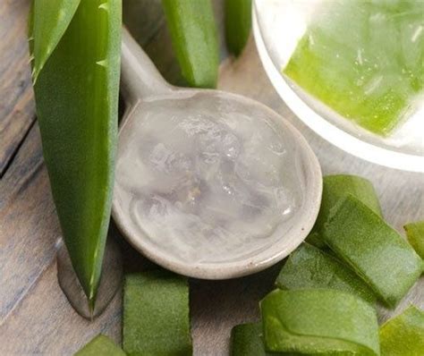 Masque Hydratant Cheveux Maison Aloe Vera Ventana Blog