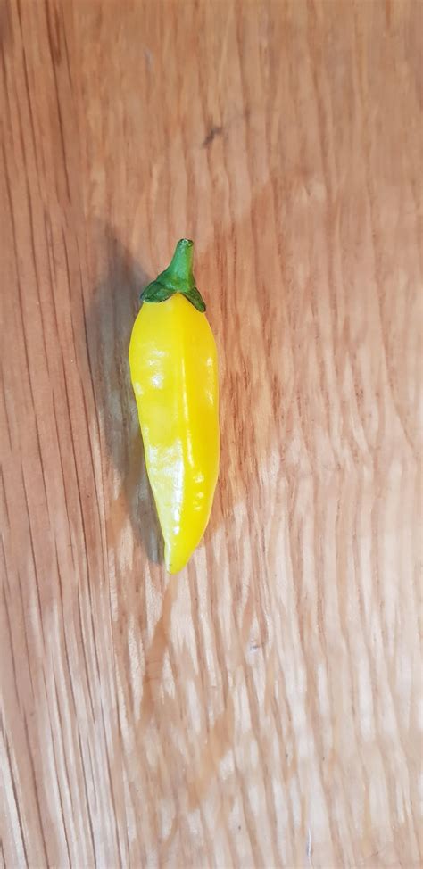 Lemonella Rhotpeppers