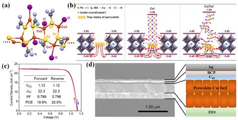 Synchronous Passivation Of Defects With Low Formation 49 Off