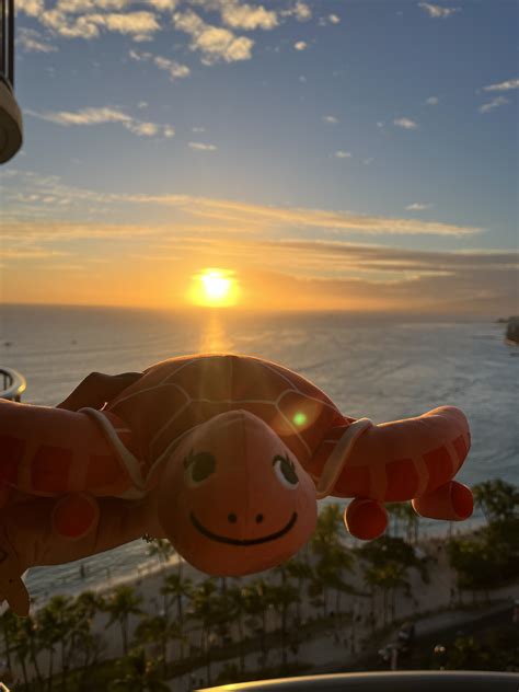 ちょっとリッチなハワイ旅行 今こそ海外＆やっぱりハワイ！ 一般社団法人日本旅行業協会