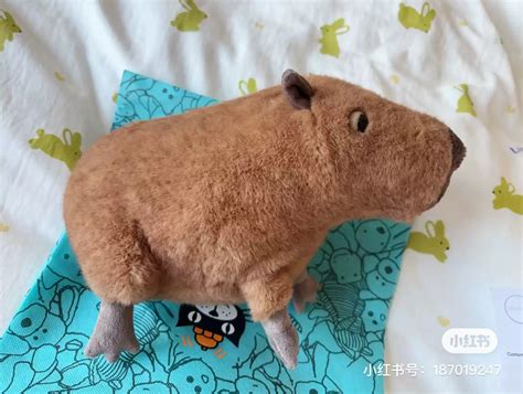 现货 英国jellycat Capybara卡皮巴拉水豚 宝宝安抚玩具毛绒玩偶