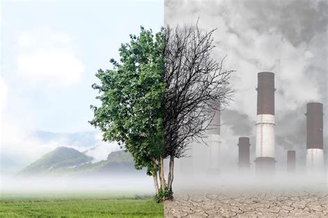 Aspects Environnementaux Quexige La Norme
