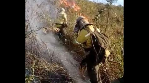 Vídeo Brigadistas combatem incêndio no Parque Nacional da Serra dos