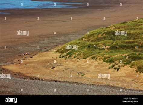 Overview Of Merthyr Mawr Sand Dunes Near Bridgend With Plenty Of