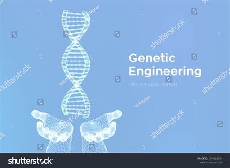 Dna Wireframe Over 3495 Royalty Free Licensable Stock Vectors And Vector Art Shutterstock