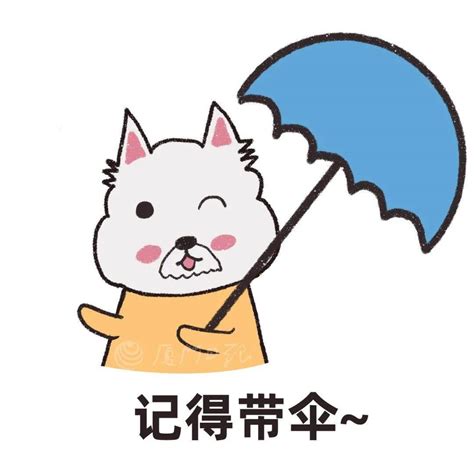 台风“马鞍”登陆了！今日出伏，漳州天气要变了！全市米秒阵雨