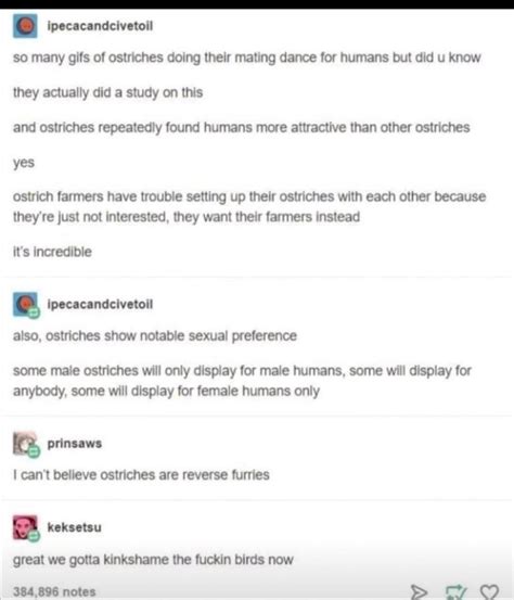 Its Not Kinkshaming If Kinkshaming Is Your Kink Scrolller