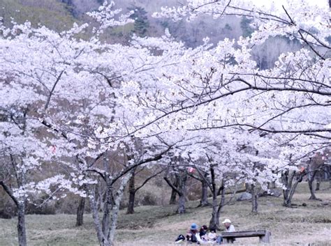 津山だより 津山市公式ファンサイト「津山珈琲倶楽部」