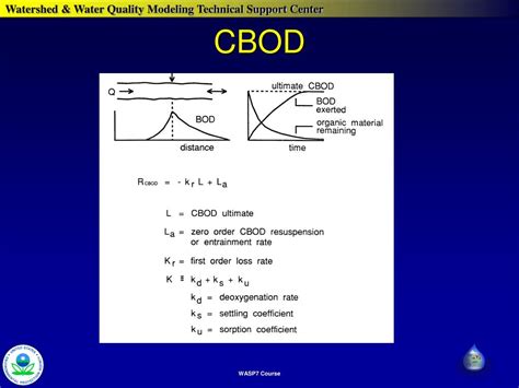 Ppt Dissolved Oxygen Processes Powerpoint Presentation Free Download