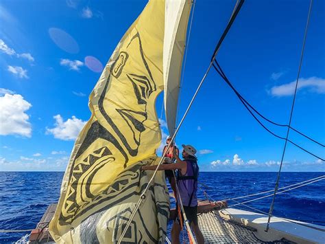 About Us Synchronicity Earth