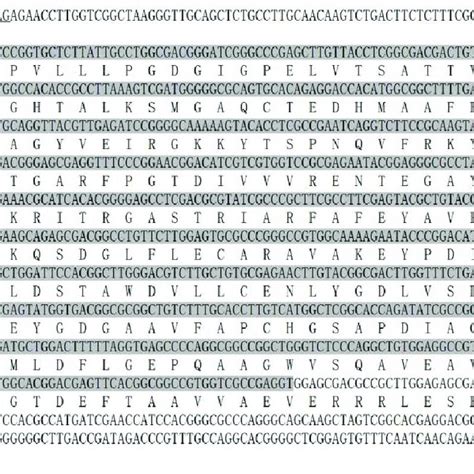 The Full Length Cdna Sequence And Deduced Amino Acid Sequence Of Saidh