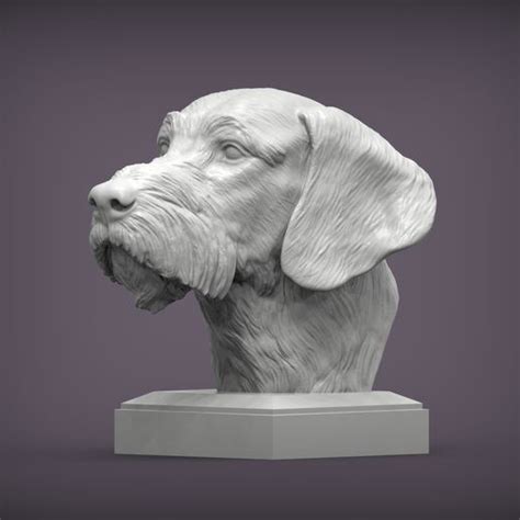 👤 German Wirehaired Pointers Bust 3d Print Model・ Stl File For ・cults