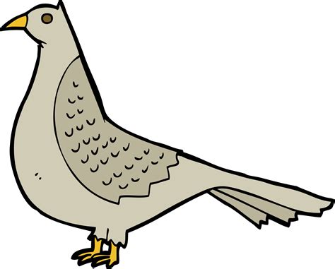 Cartoon Bird Drawing 46879665 Png