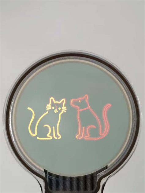 Custom Small Size Transparent OLED Displays For Innovation