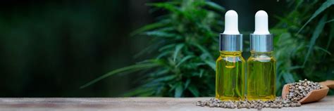 São Paulo Terá Medicamento à Base De Cannabis No Sus Academia Médica