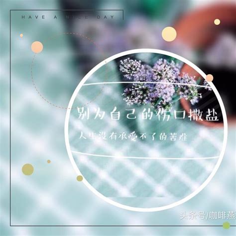別為自己的傷口撒鹽 每日頭條