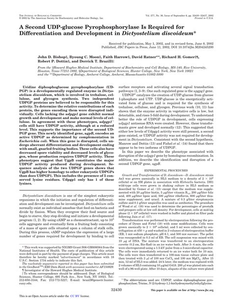 Pdf A Second Udp Glucose Pyrophosphorylase Is Required For