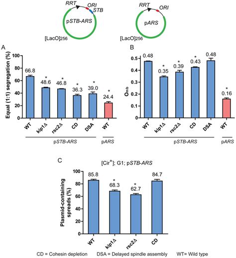 Plasmid Segregation Factors Can Be Distinguished By Whether Or Not They Download Scientific