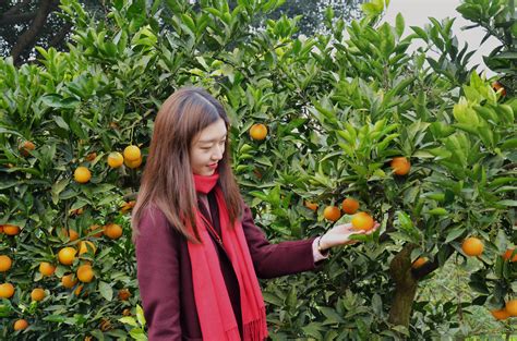 发现北碚乡村之美6